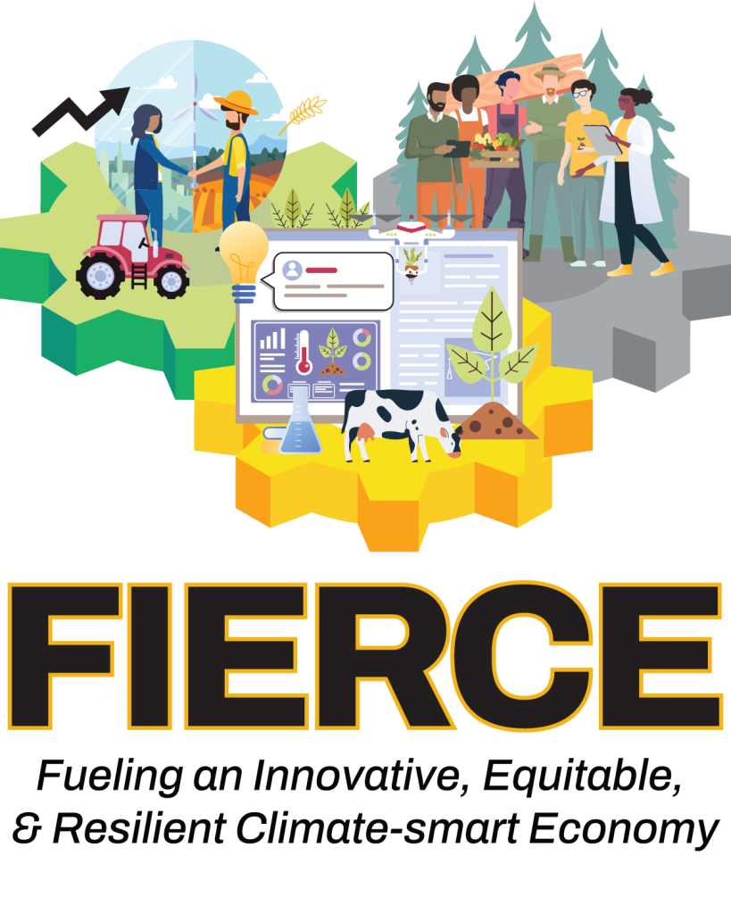 FIERCE – Institute for Innovative Climate Solutions